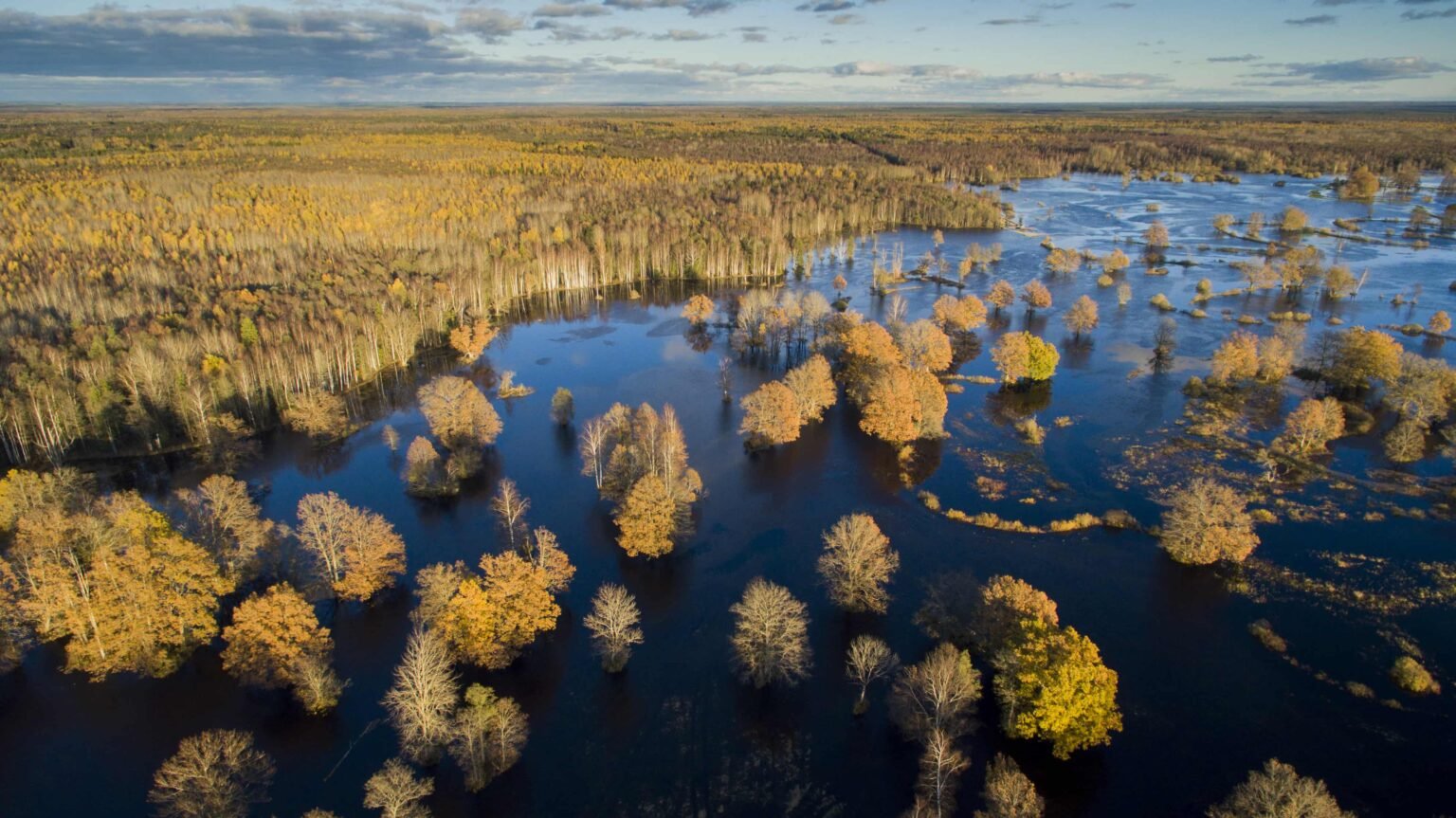 Soomaa National Park: A Guide to Estonia's Wetland Wilderness - Baltic ...